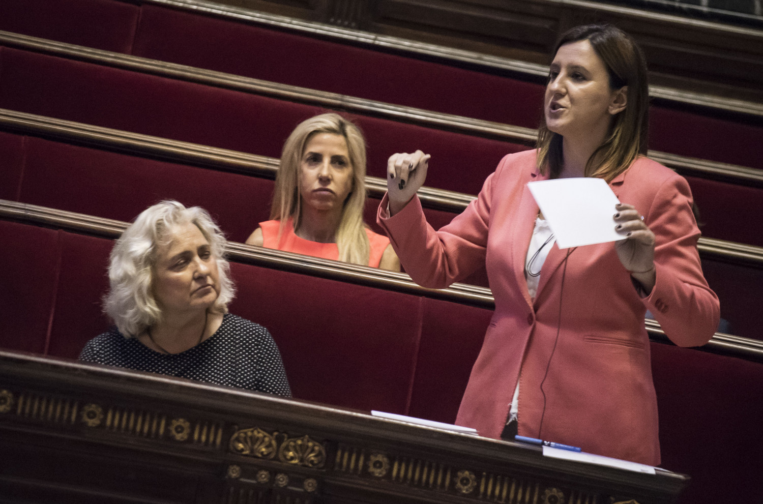María José Castellà - El Temps